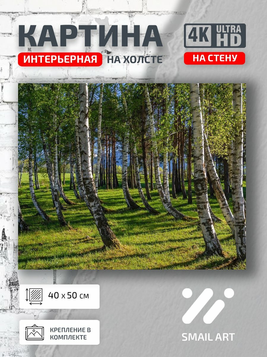 Картина на холсте интерьерная 40 на 50 на стену Трава Landscape для кабинета пейзаж декор