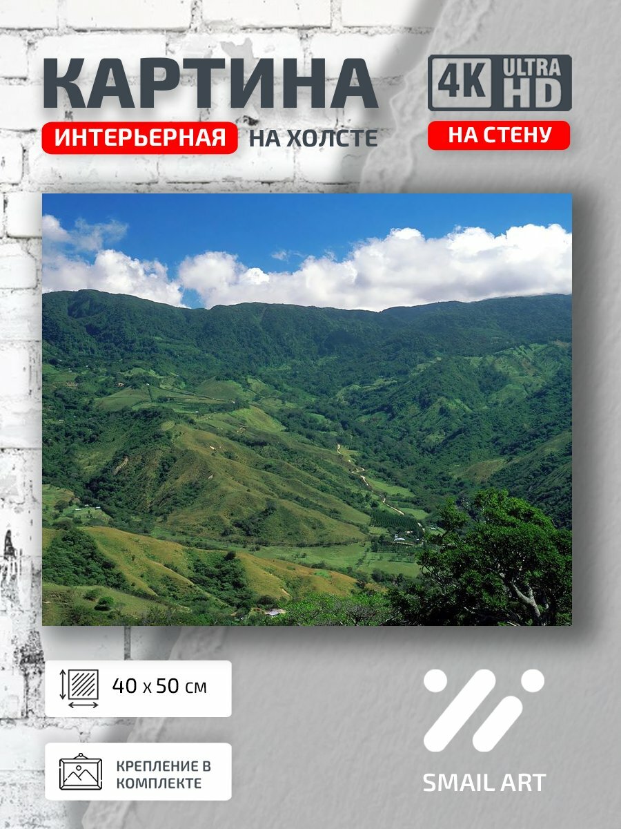 Картина на холсте интерьерная 40 на 50 на стену Америка Rica для кафе пейзаж интерьер декор