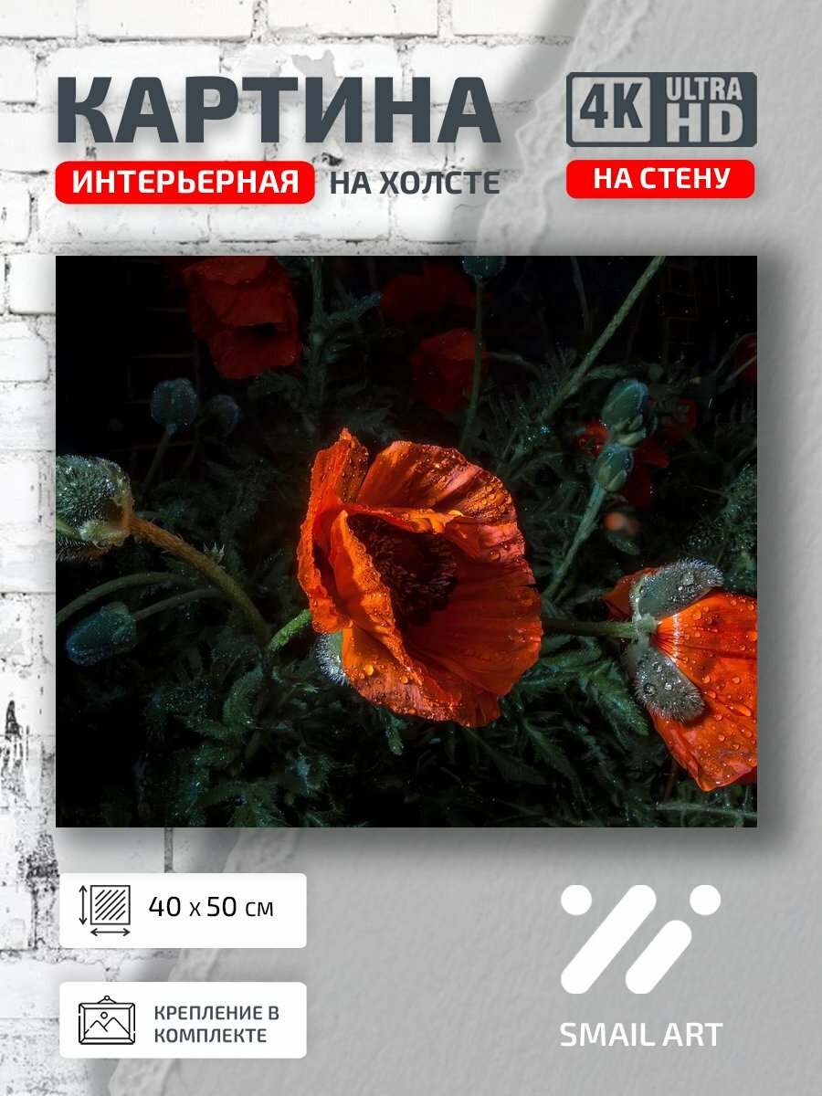 Картина на холсте интерьерная 40 на 50 на стену Капли Macro для студии макро интерьер декор