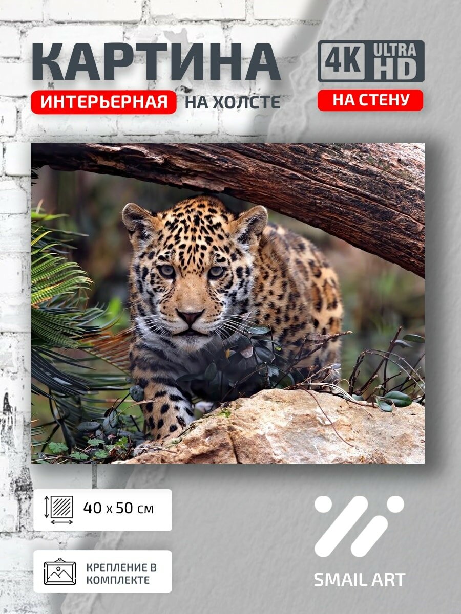 Картина на холсте интерьерная 40 на 50 на стену Животные Animal для кабинета атмосфера