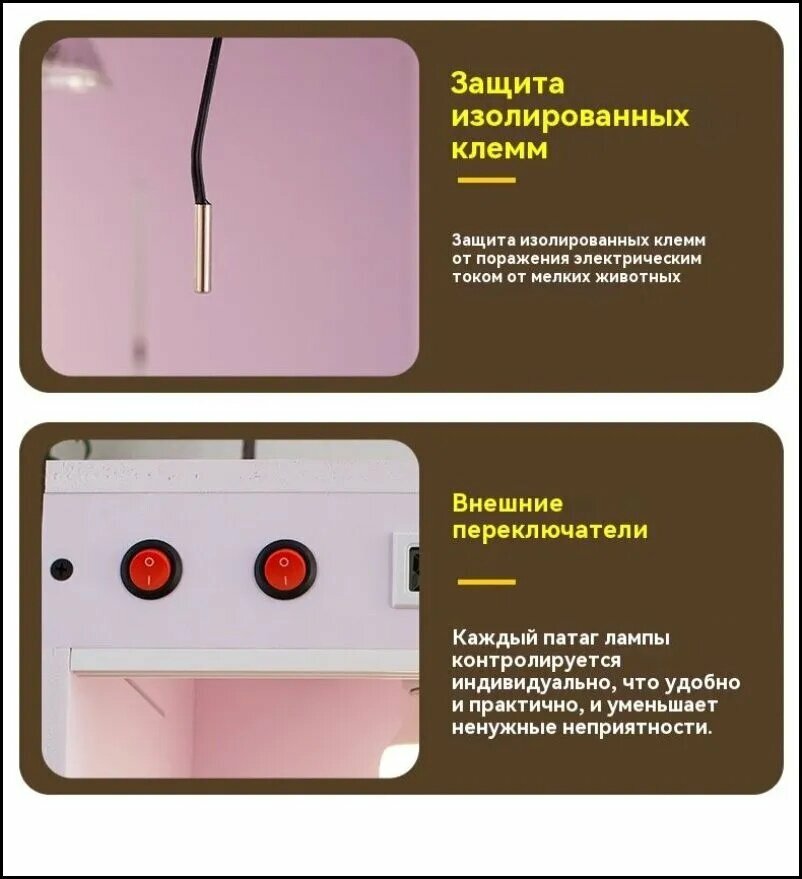 Эксклюзивный террариум — фото 1