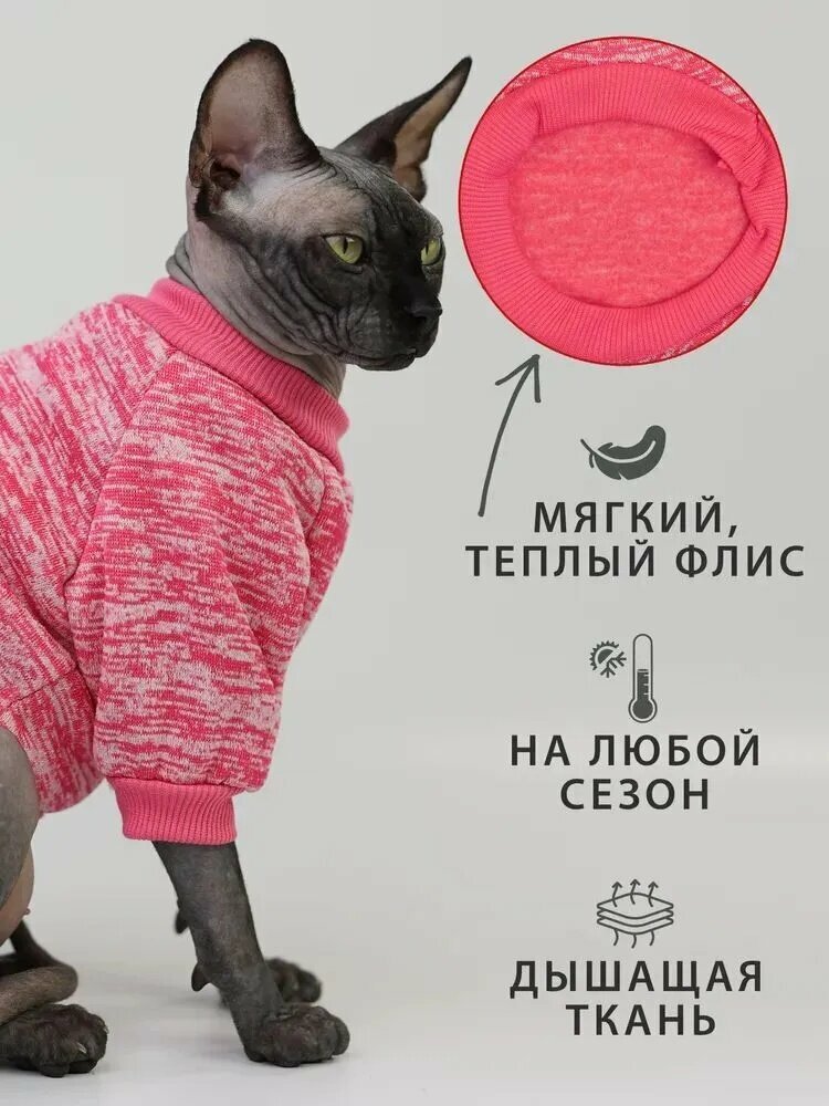 Одежда для животных — фото 1