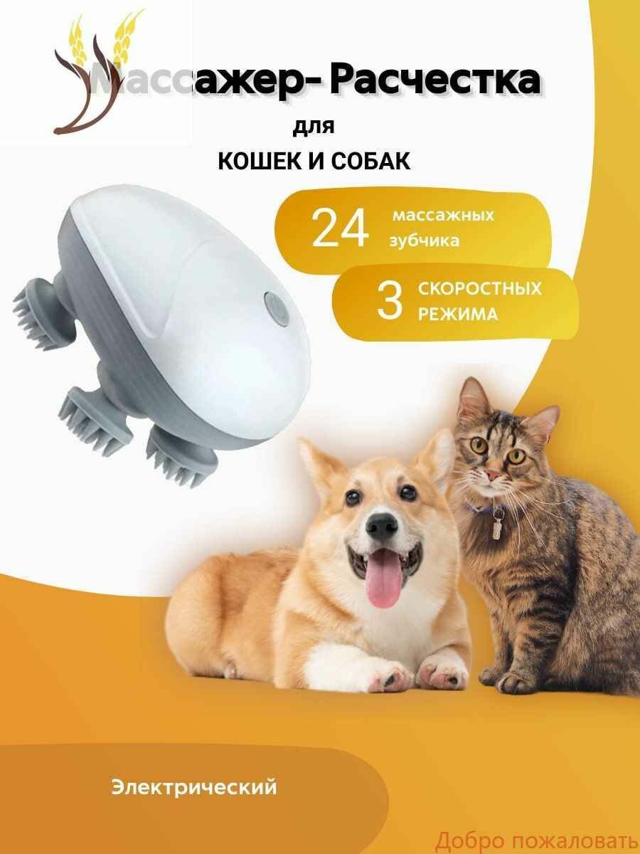 Расческа для животных
