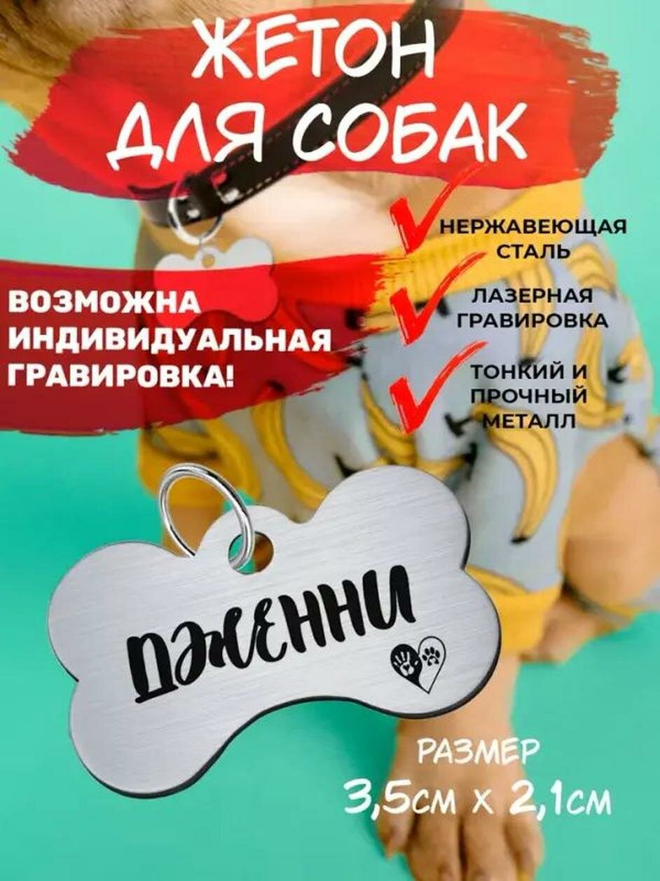 Адресник для собаки с гравировкой, нерж. сталь, серебристый, Дженни