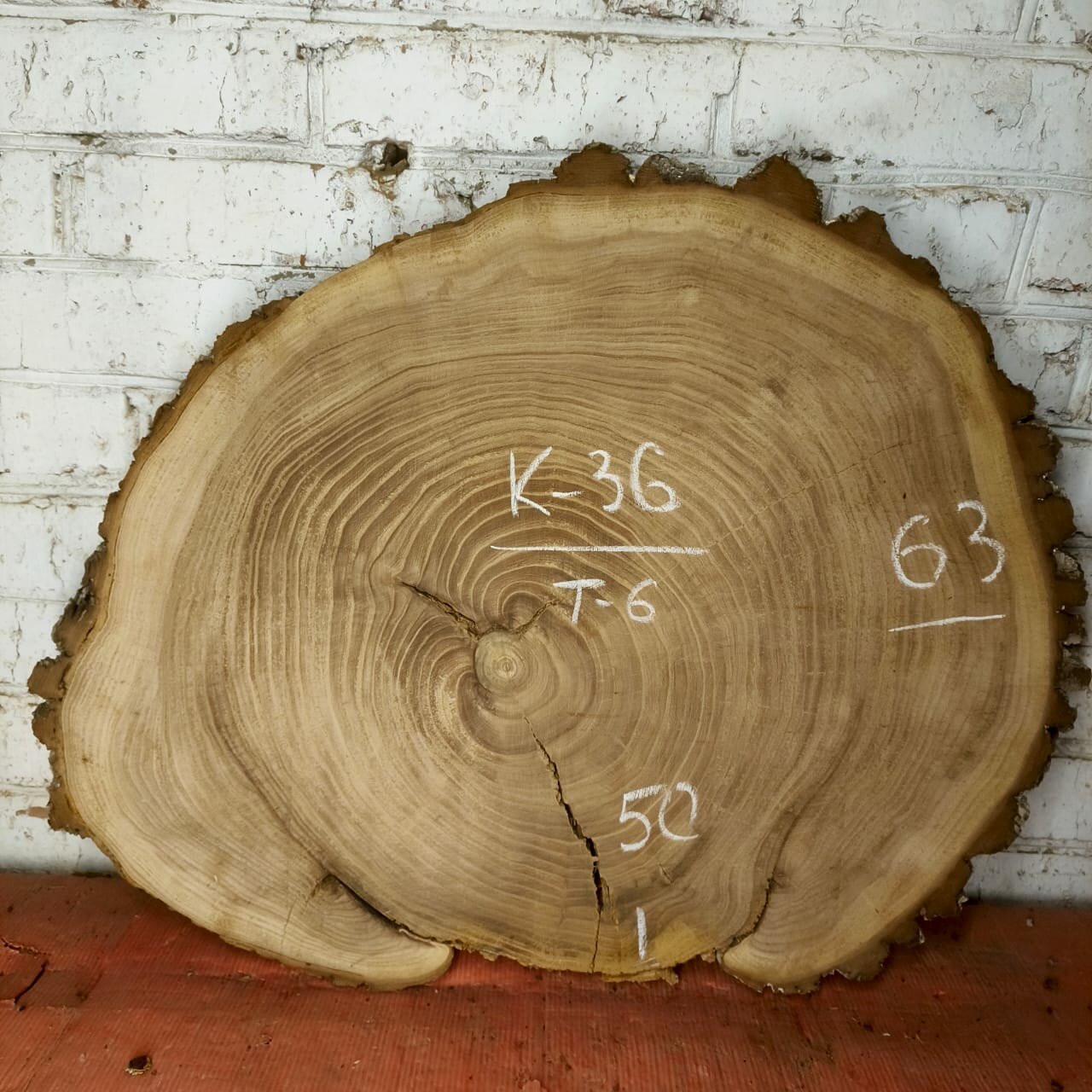 Торцевой спил дерева Карагач К-36, диаметр 50-63 см, толщина 6 см.