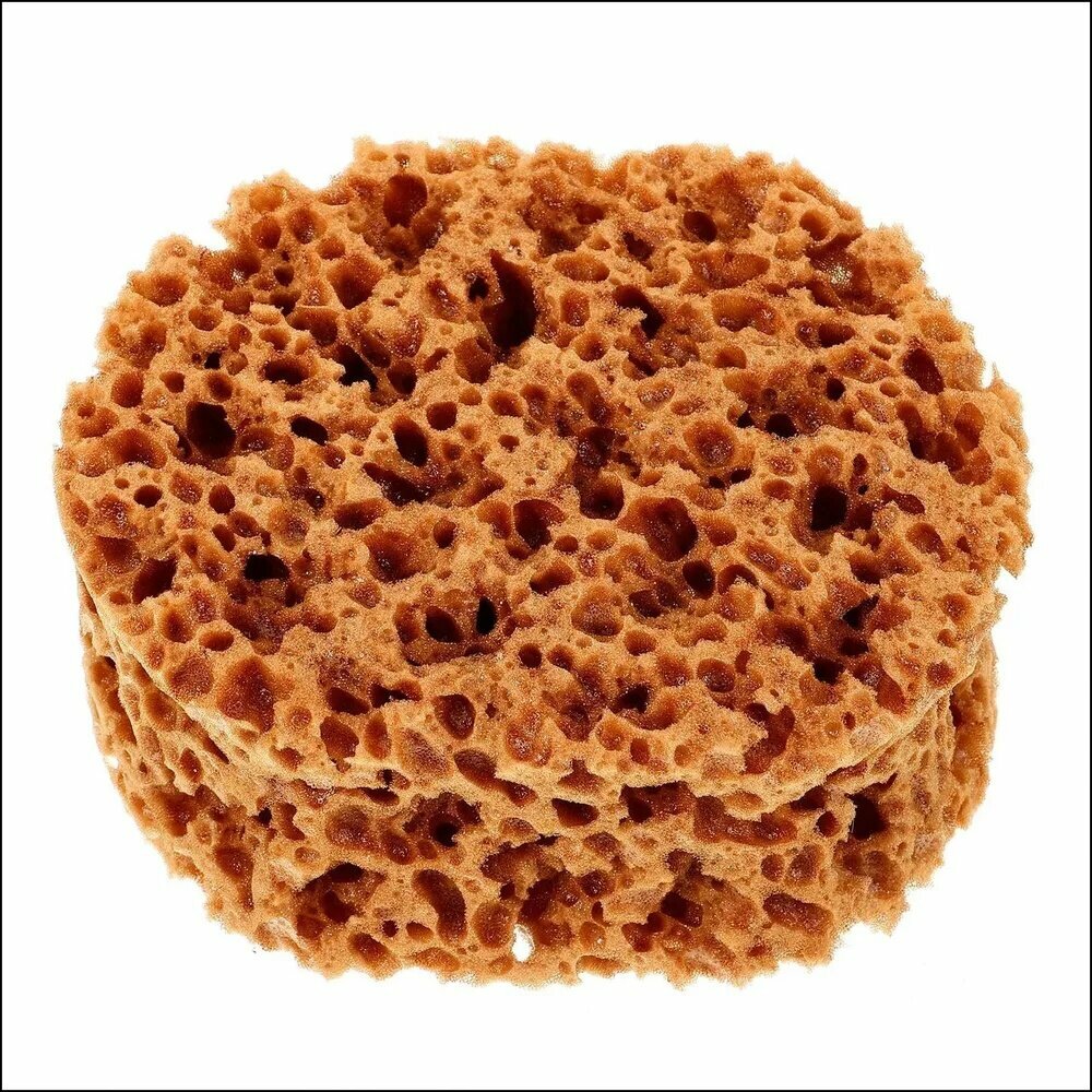 Губка малярная