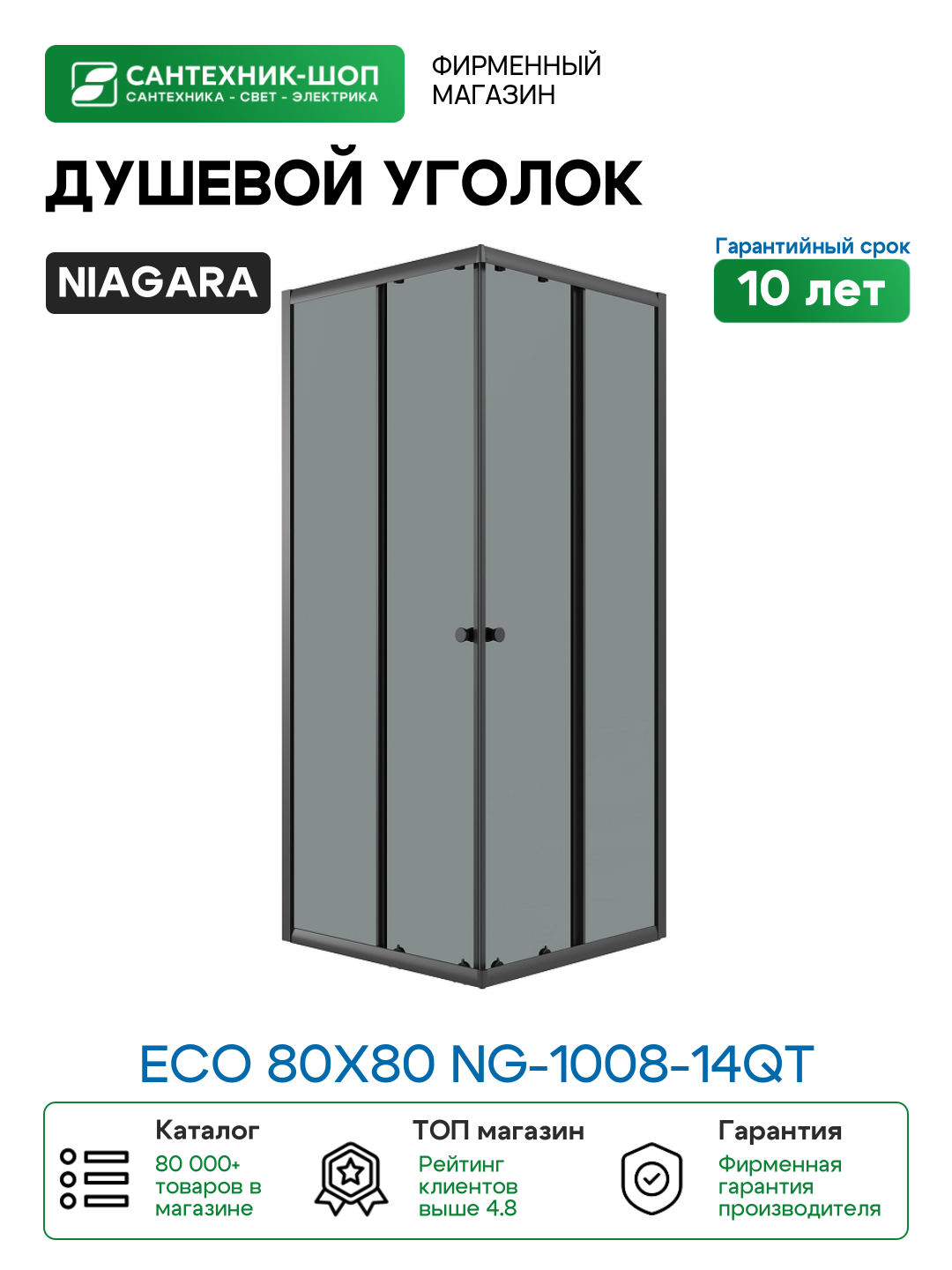 Душевой уголок Niagara Eco 80х80 NG-1008-14QT профиль цвет Черный матовый стекло тонированное