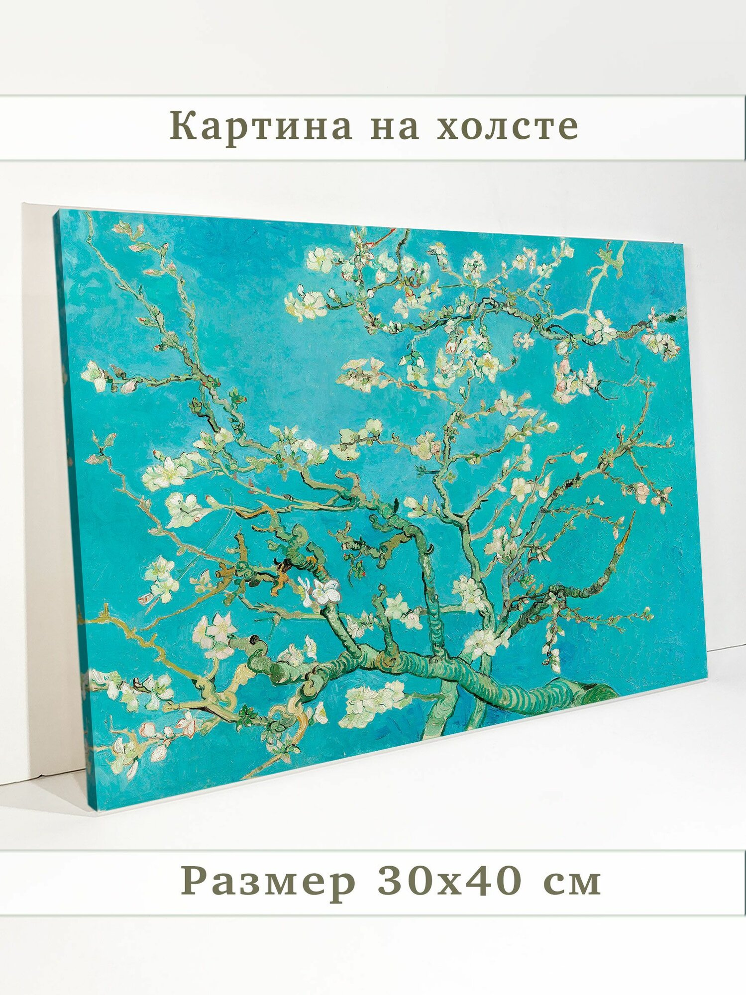 Картина Цветущие ветки миндаля Ван Гог - на холсте 30х40см
