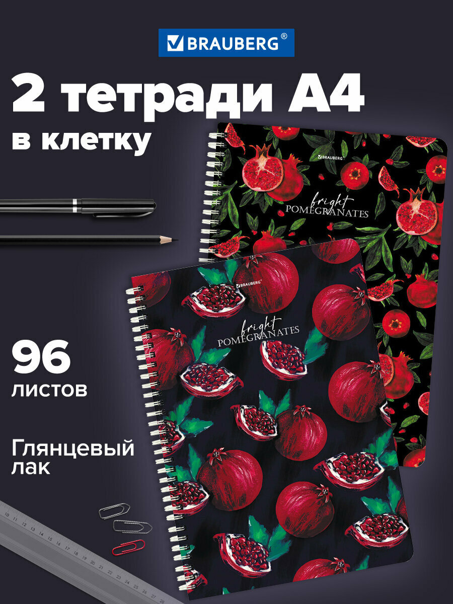 Тетрадь общая в клетку для школы Комплект 2 штуки А4 96 листов, Brauberg, на пружине, в клетку, 404389