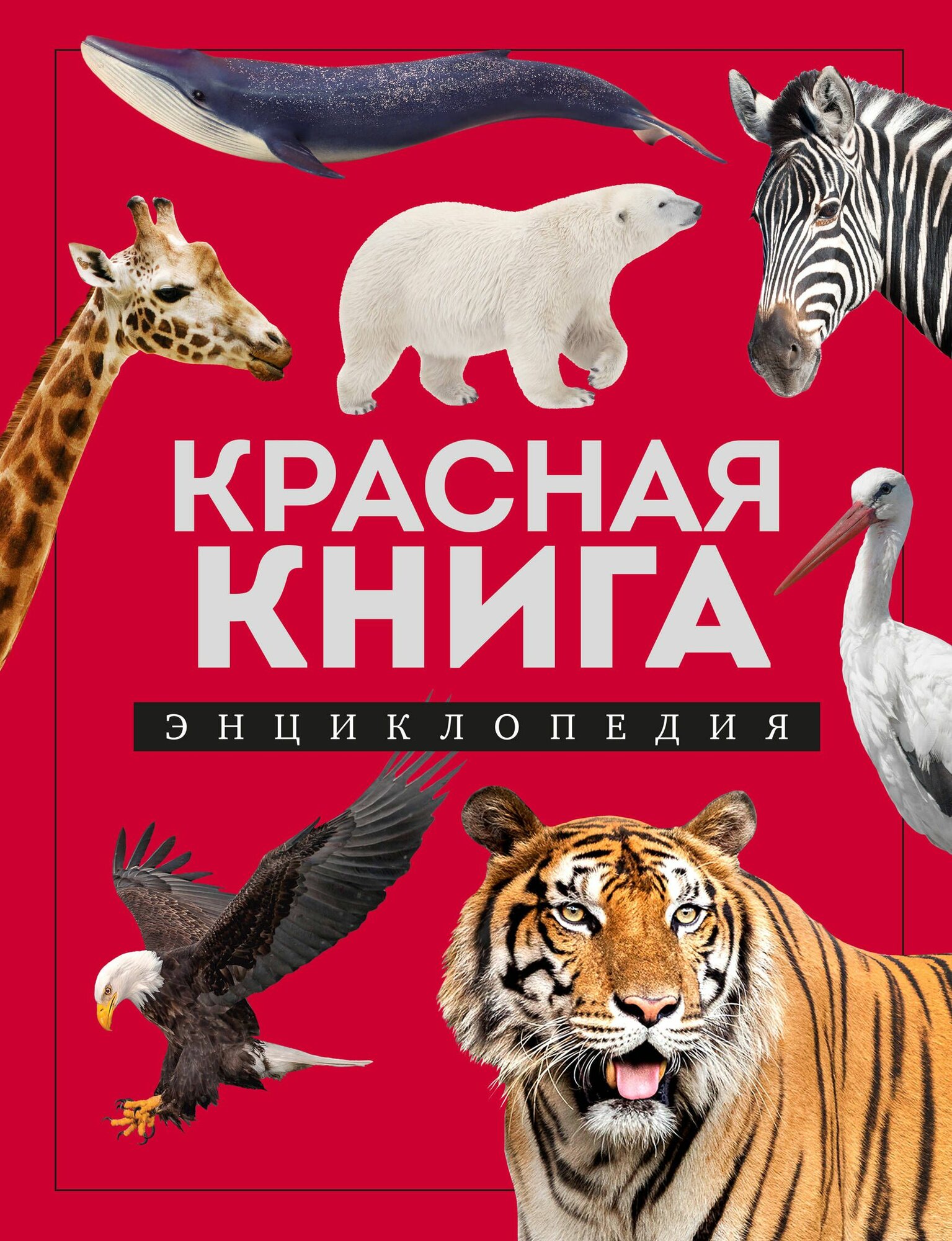 Книга "Красная книга. Энциклопедия"