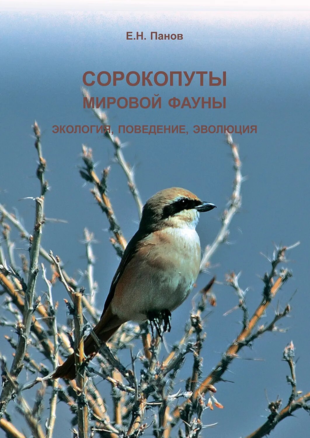 Сорокопуты (семейство Laniidae) мировой фауны. Экология, поведение, эволюция [Цифровая книга]