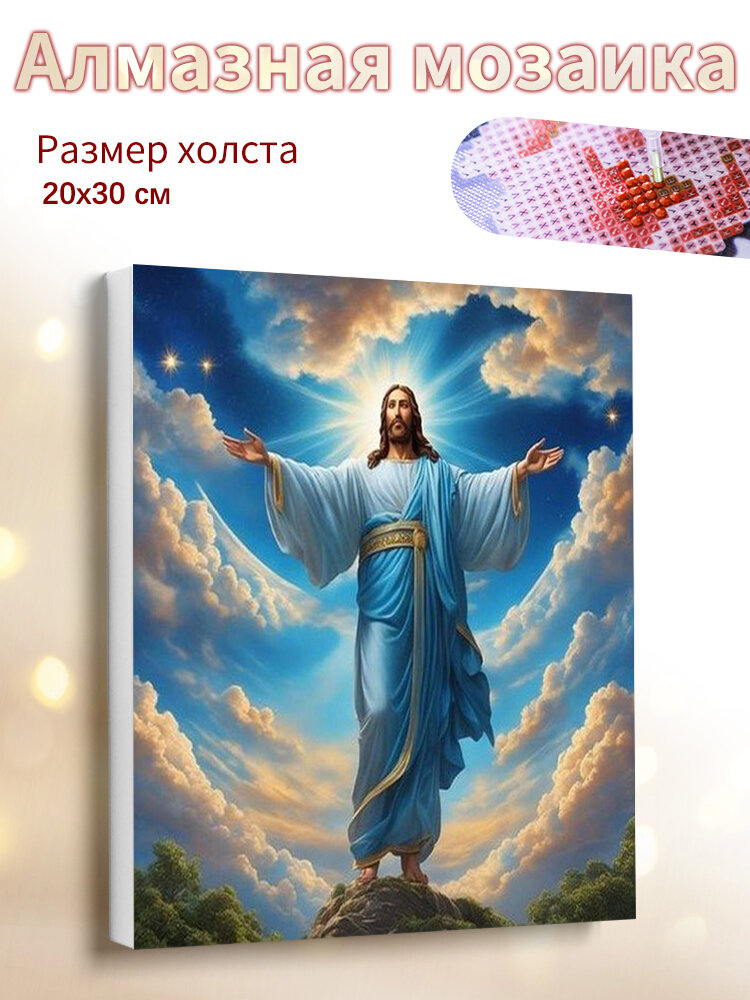 Алмазная мозаика на подрамнике 20x30cm "Божья миссия" / картина алмазная стразами выкладка стразами алмазная живопись творчество