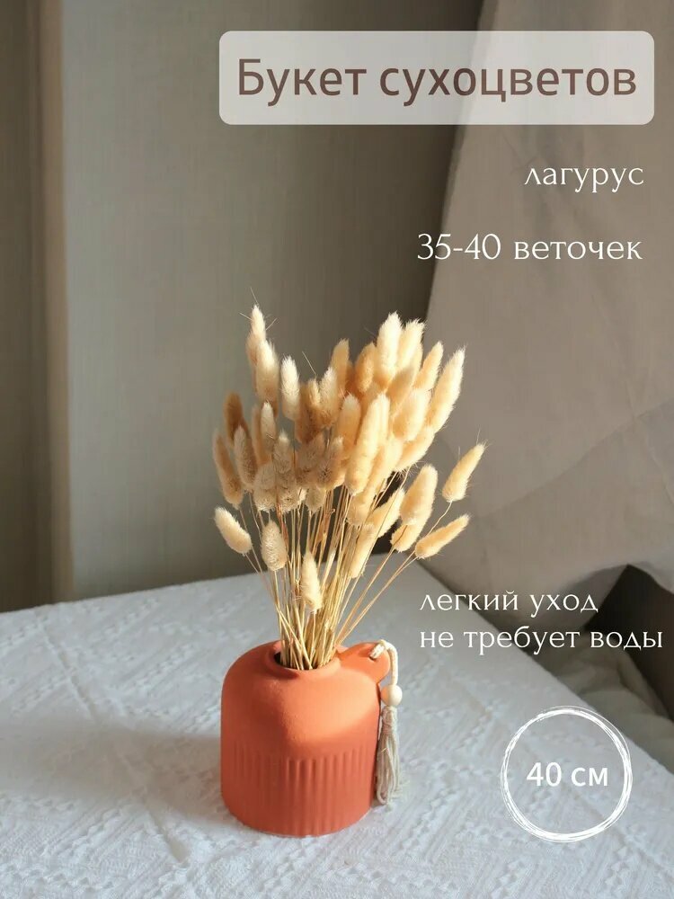 Сухоцветы Лагурус, 35 см, 200 гр, 35 шт