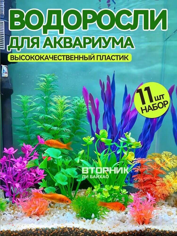 Водоросли для аквариума набор 11шт аквариумные водоросли набор растений 11 штук