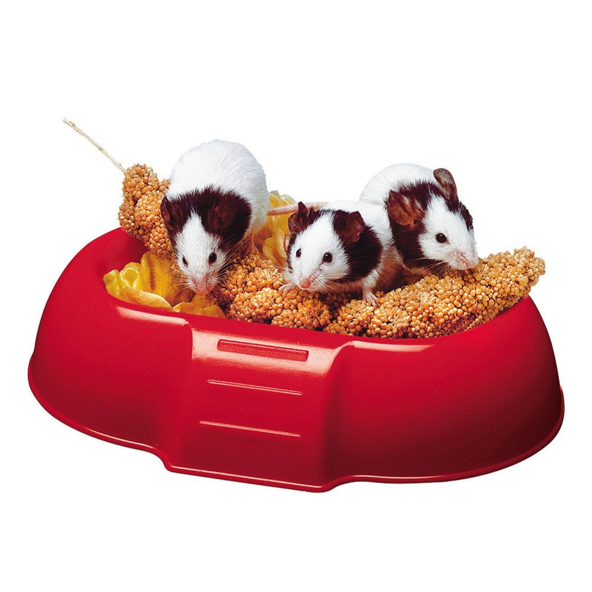 Миска для грызунов Ferplast DADA, в клетки, 160 мл, разноцветный