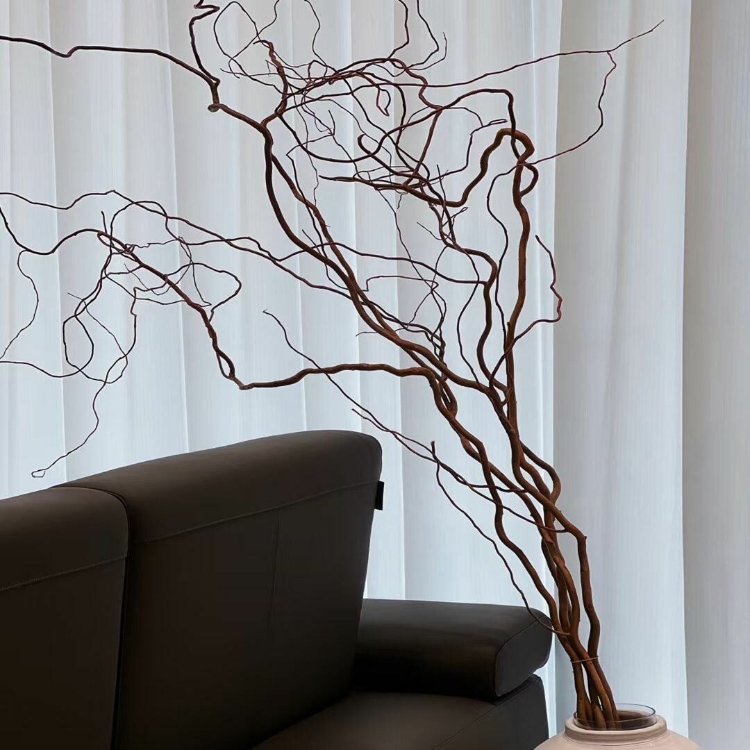 Сушеная ветка золотого дракона, ива в стиле Ins, сушеный цветок, напольное украшение в стиле ваби-саби, ретро, натуральный орнамент, красивая форма, настольный японский стиль