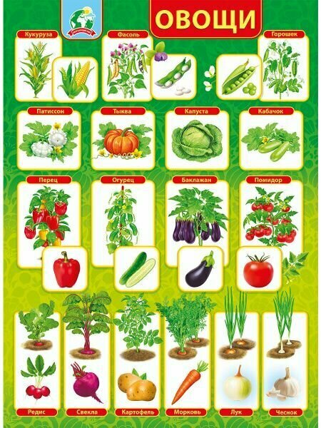 Плакат Овощи А2 Плакаты для школы и детского сада 071.329 0+