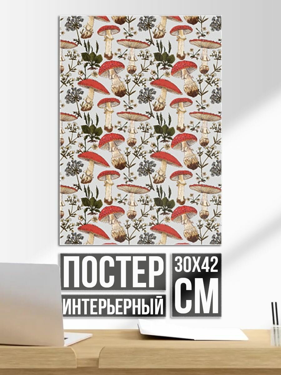 Постер на стену Мухоморы и цветы светлый принт