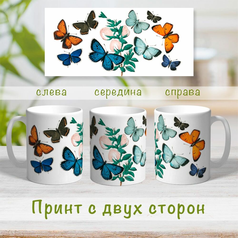 Кружка керамическая Бабочки из иллюстраций