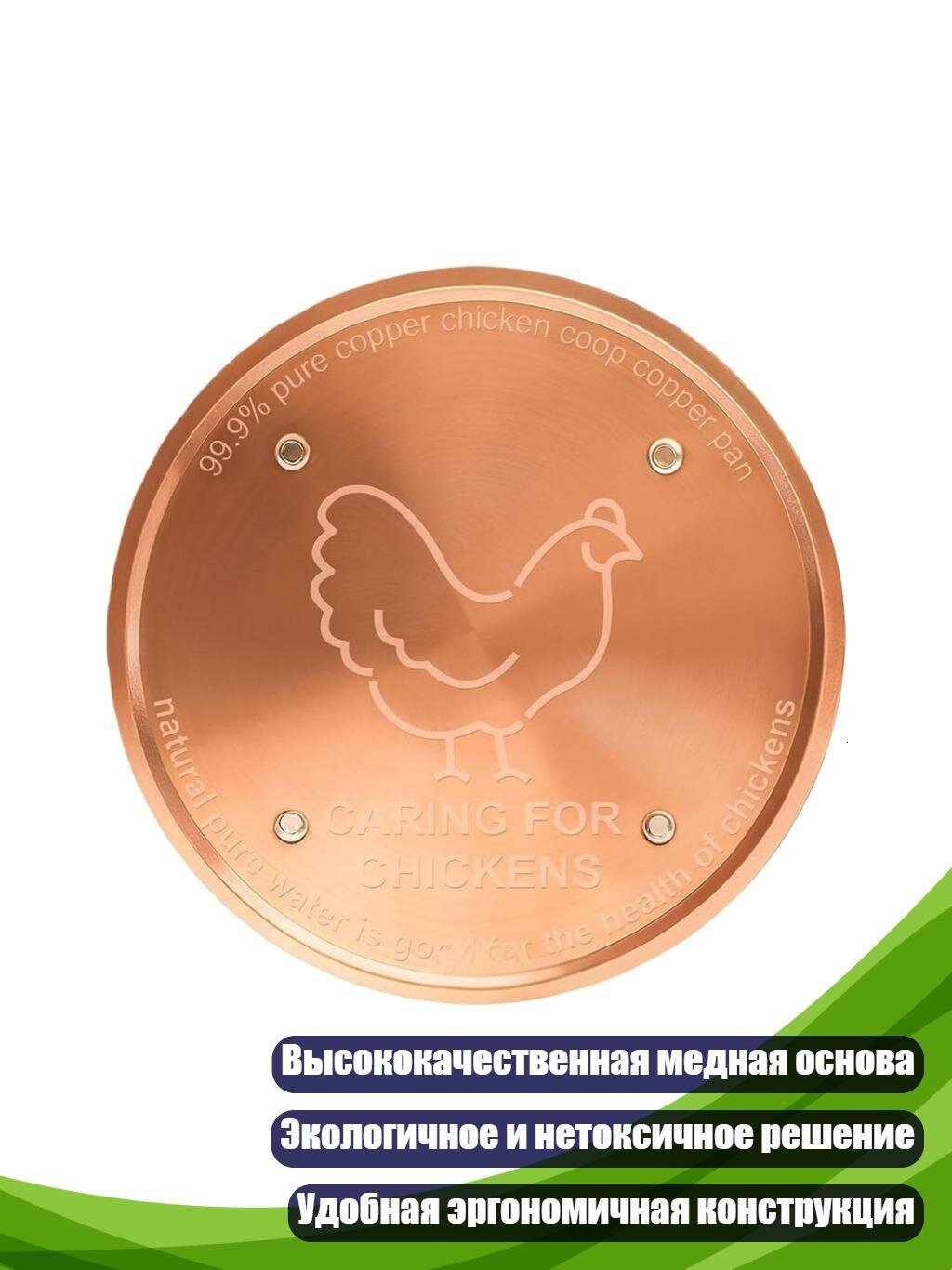 Медный диск для чистки птичьего бассейна, Курица