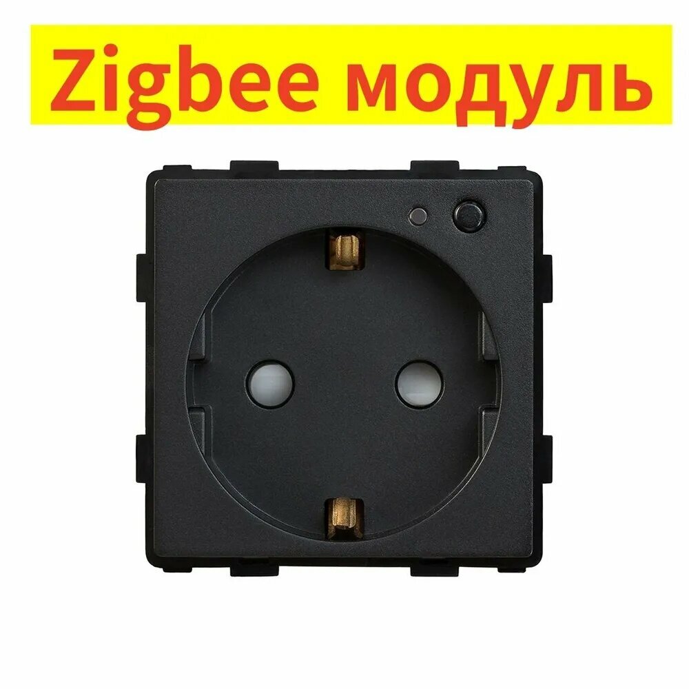 Умная Zigbee розетка, с голосовым управлением, встраиваемая, , без рамки, черное (Алиса, Маруся, Smart life)