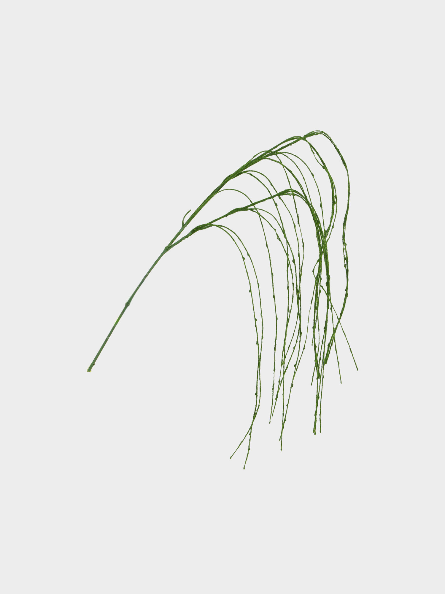 Ветка декоративная, 1,2 м, пластик/металл, Ива, Curved decor, Kuchenland