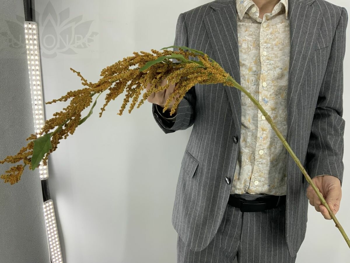 Искусственные цветы премиум ветки для декора Амарант оранжевый обсыпной 1 ветка 125 см