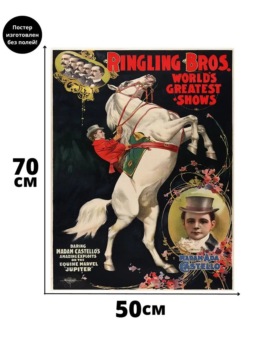 Постер лошадь конный спорт в ретро стиле