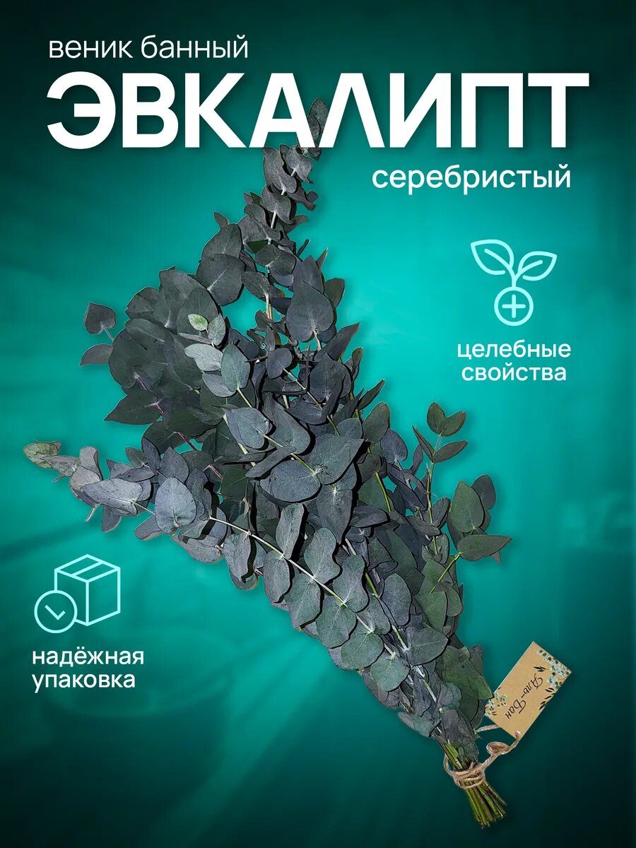 Веник для бани эвкалиптовый Серебристый