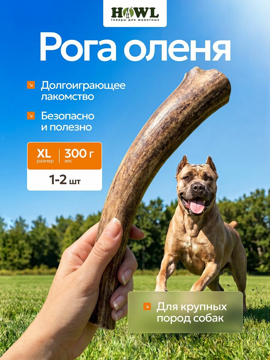 Рог Северного оленя для собак крупных пород (размер XL) 300 гр. Натуральные лакомства для собак HOWL