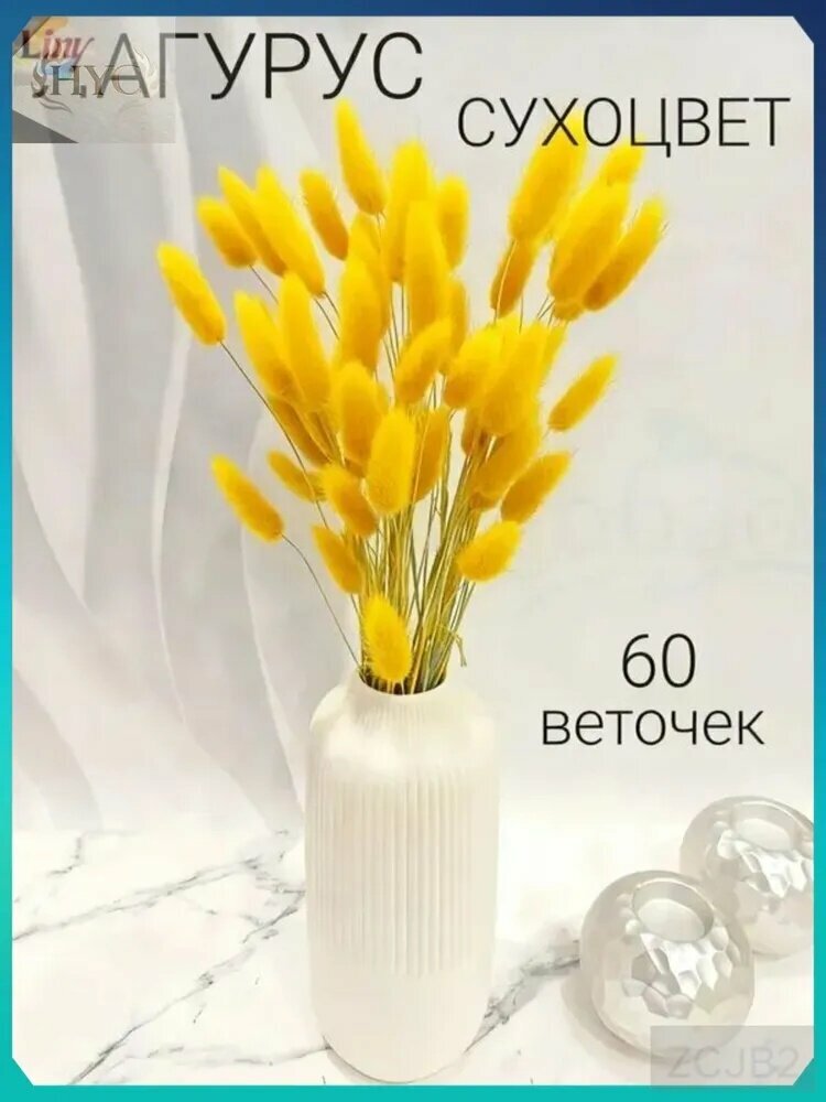 Сухоцветы Лагурус, 55 см, 100 гр, 60 шт