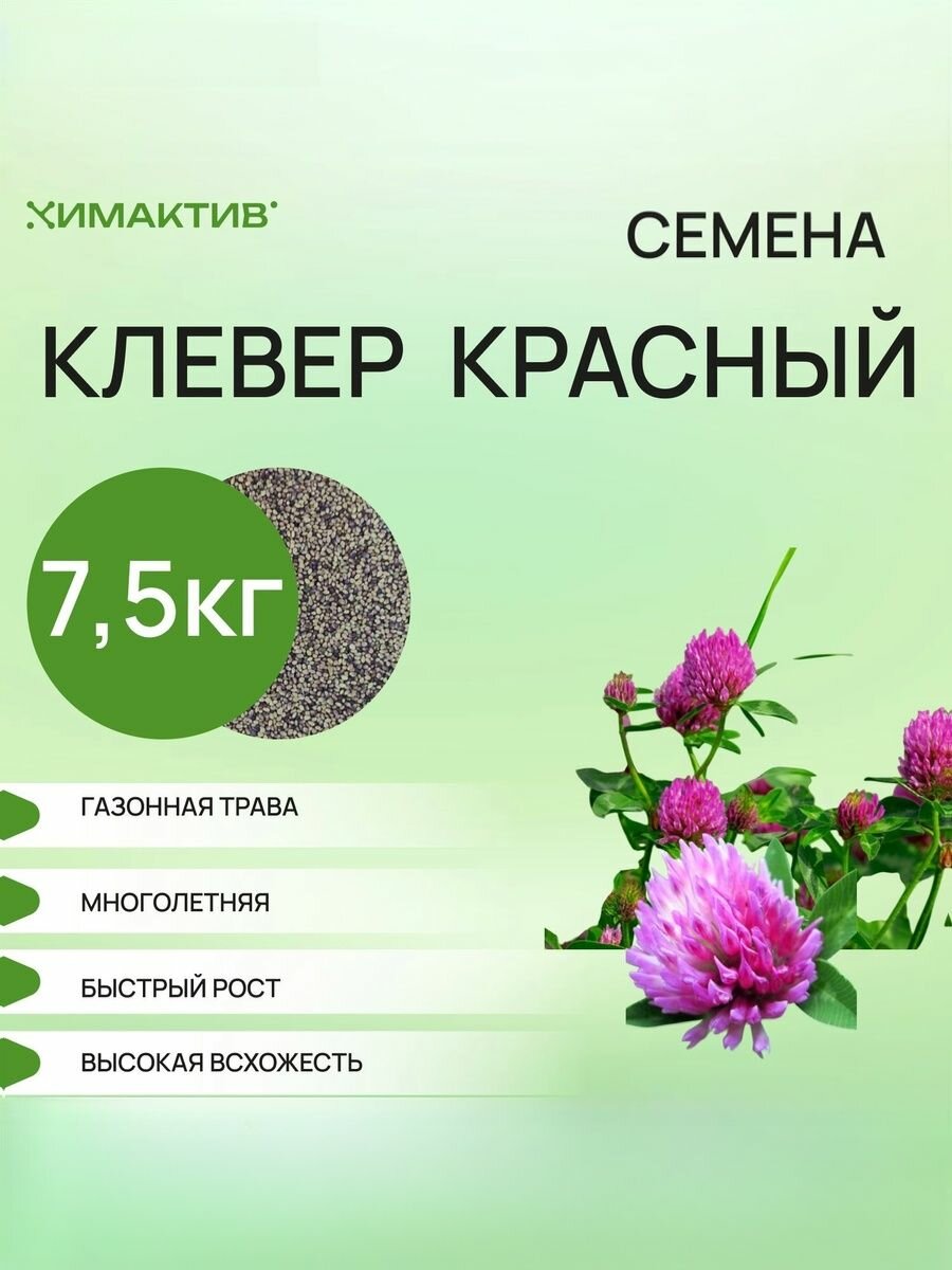 Клевер красный 7,5кг/ газонная трава
