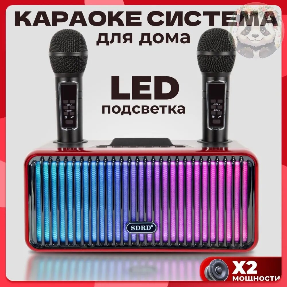 Караоке система для дома SD-319 Pro черная с двумя микрофонами