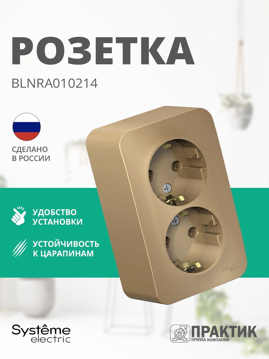 Розетка двойная Blanca Systeme Electric с заземлением без шторок для открытой проводки Титан BLNRA010214