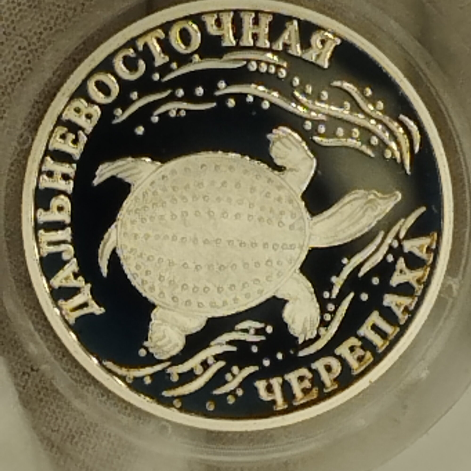 Монета РФ. 1 рубль. 2003. СПМД. Красная книга. Дальневосточная черепаха. Ag 925. PROOF. Тираж: 10.000