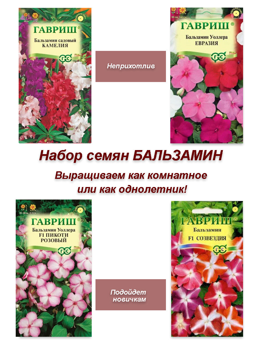 Набор семян, семена комнатных цветов Бальзамин, 4 пакета