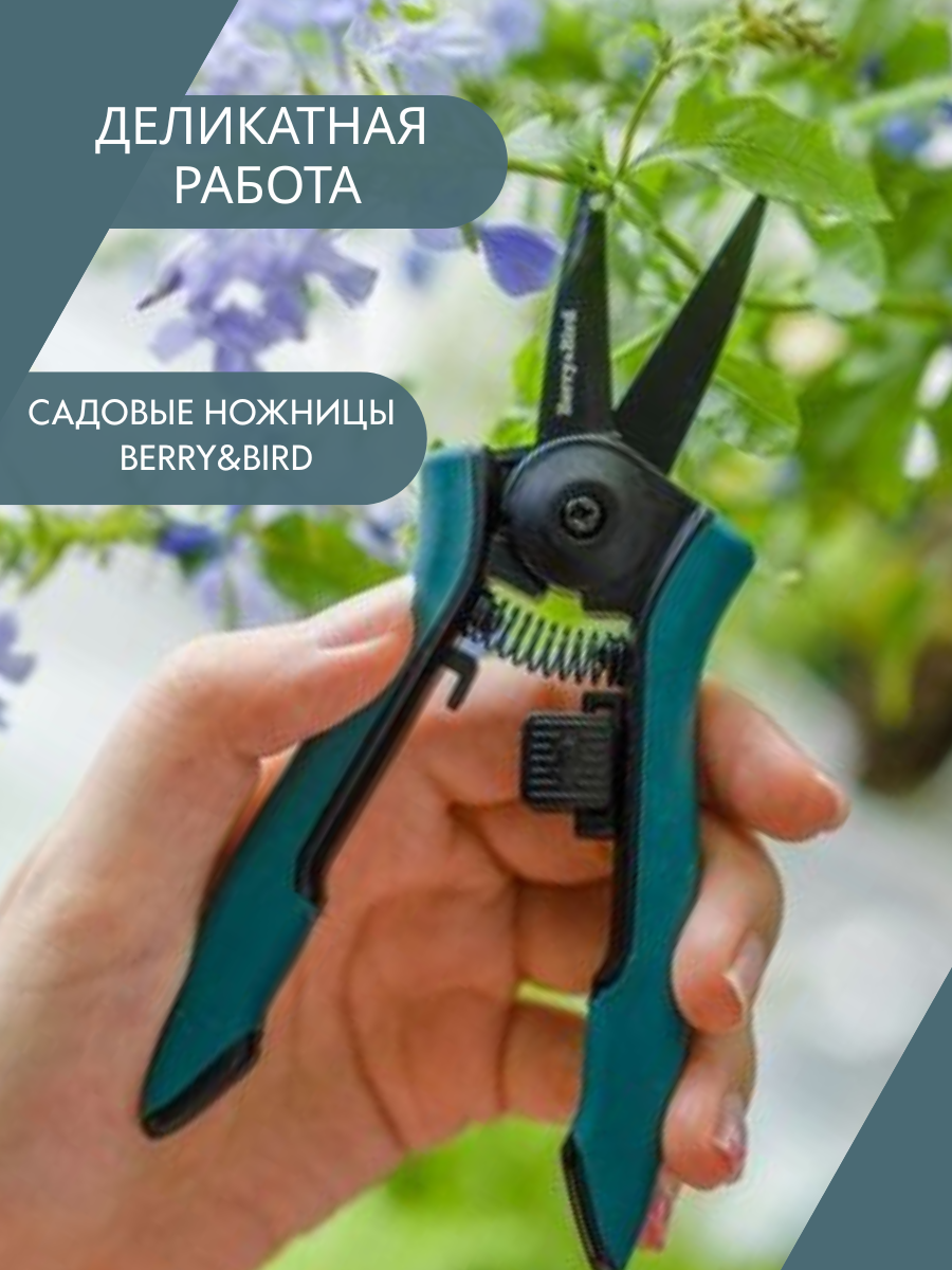 Садовые ножницы секатор Berry&Bird для цветов и сбора урожая