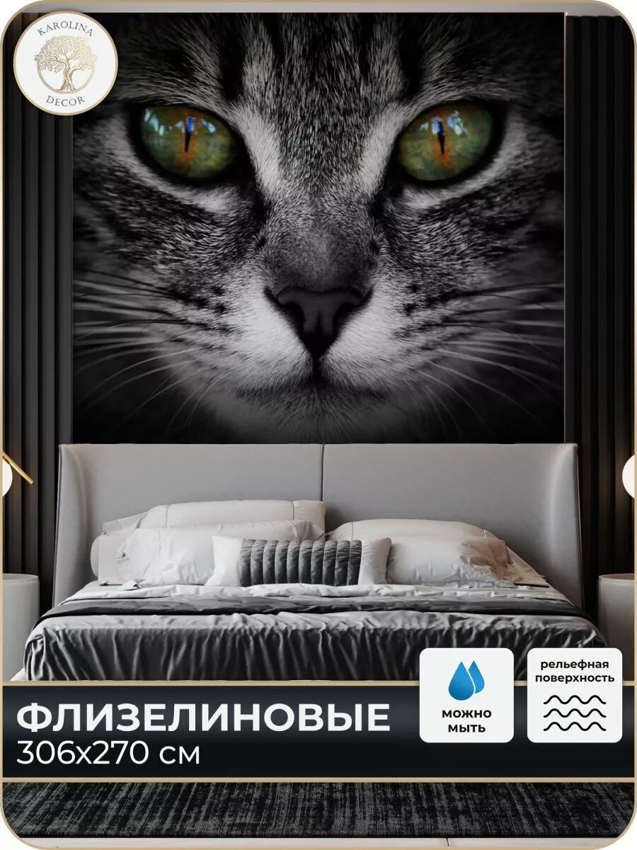 Фотообои Кот в детскую в спальню на кухню 300х270