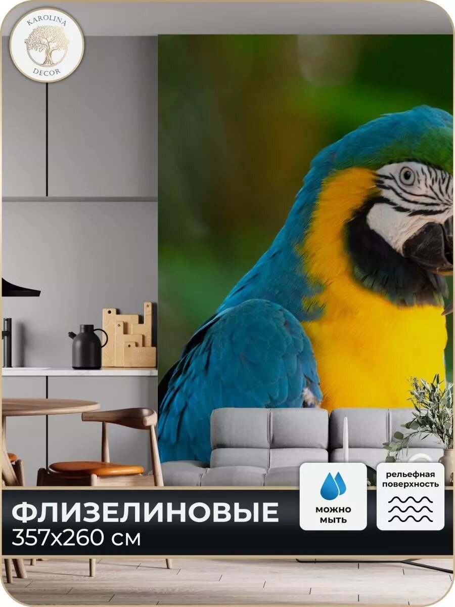 Фотообои Попугаи в детскую в спальню на кухню 350х260