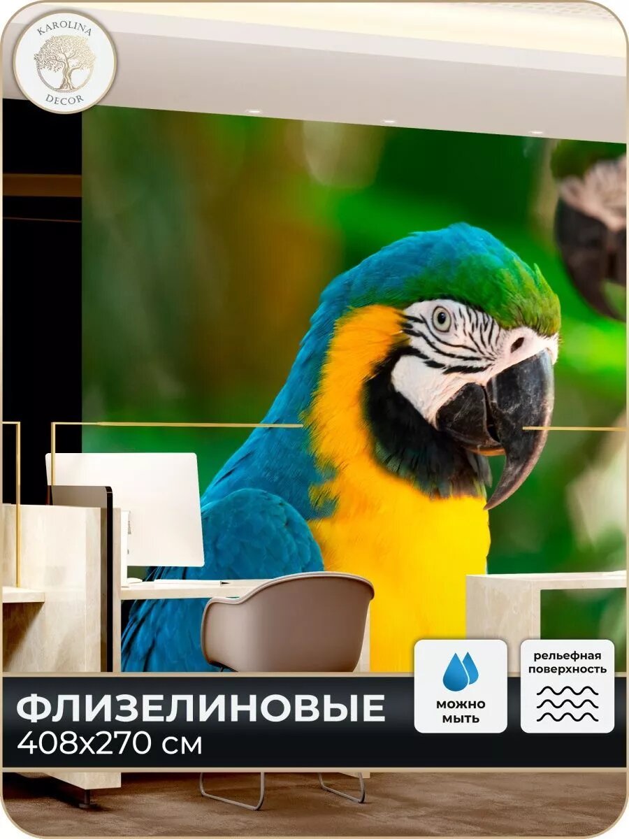 Фотообои Попугай в детскую в спальню на кухню 400х270