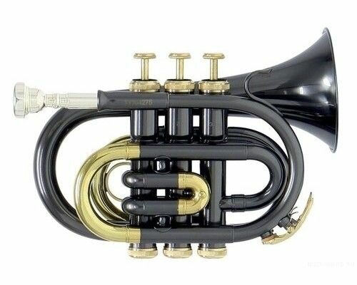 Roy Benson PT-101K Bb карманная труба