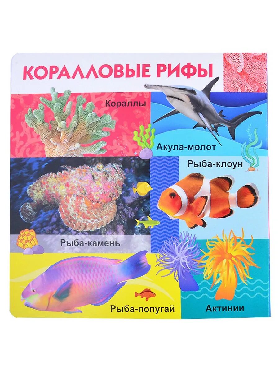 Морские обитатели — фото 1