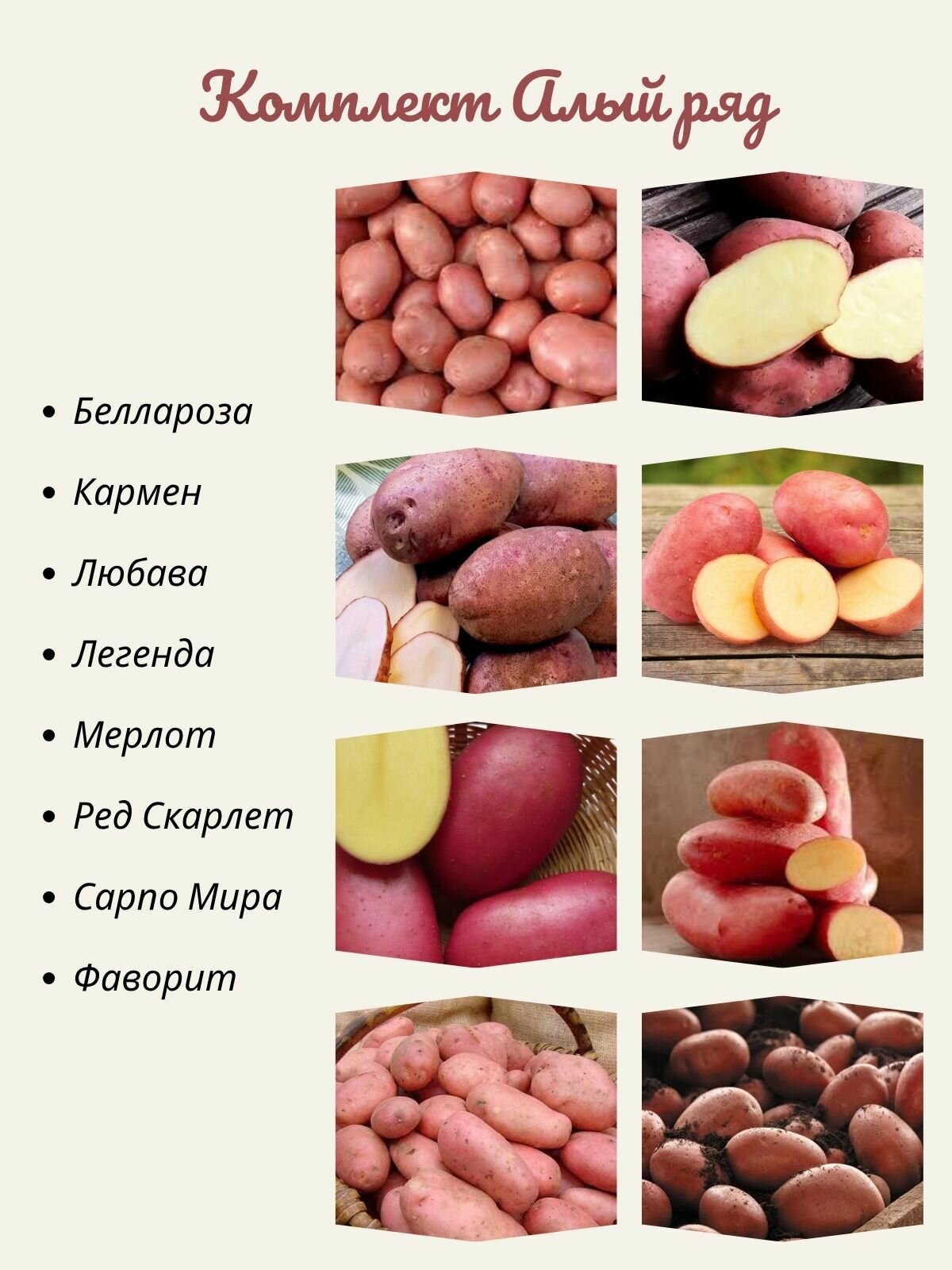 Комплект картофеля из 8 сортов "Алый ряд" 4 кг