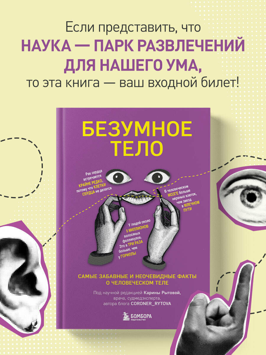 Рытова К. В. Безумное тело. Самые забавные и неочевидные факты о человеческом теле
