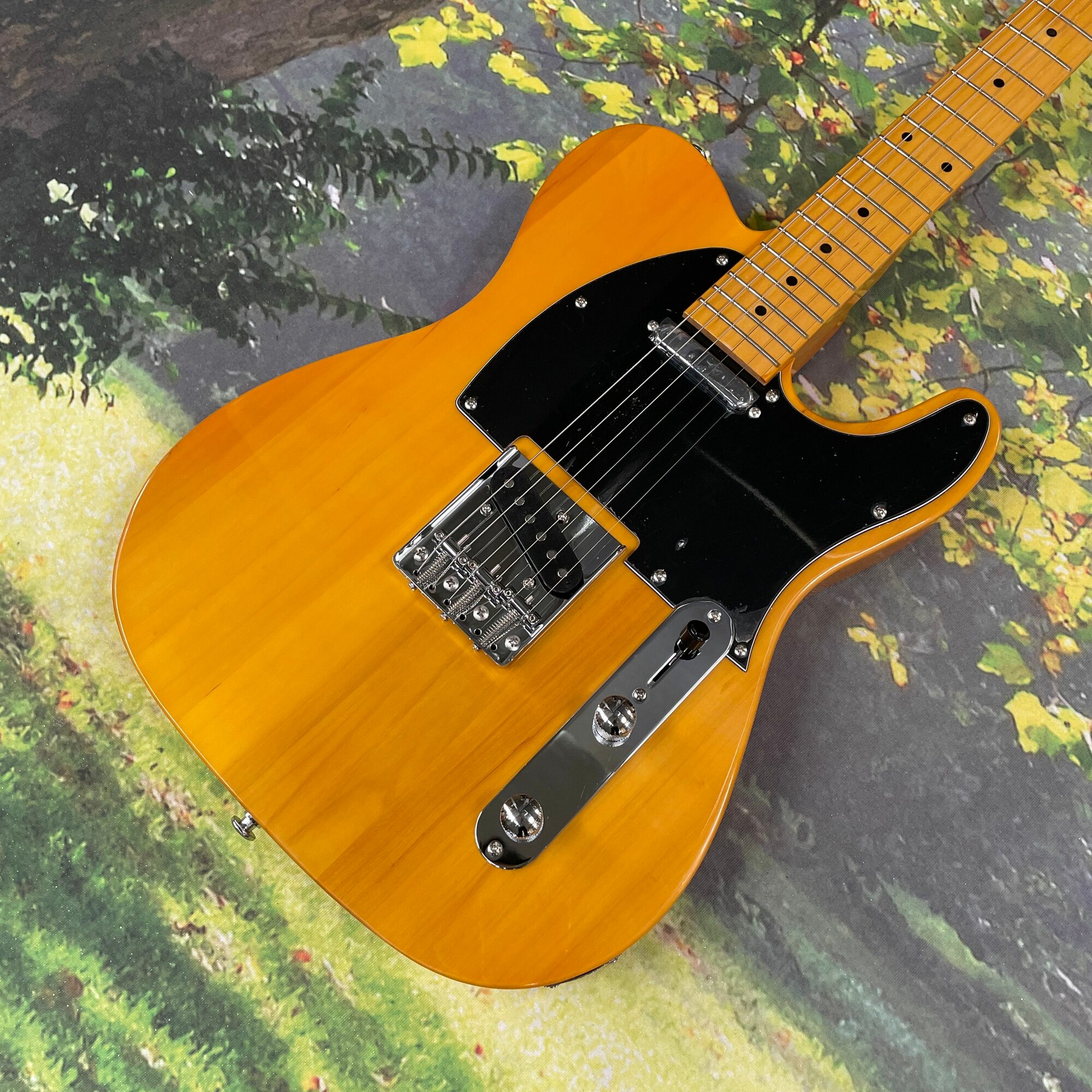 Электрогитара Fende TELE 6-струнная_TL-fgufhg 6-струнная