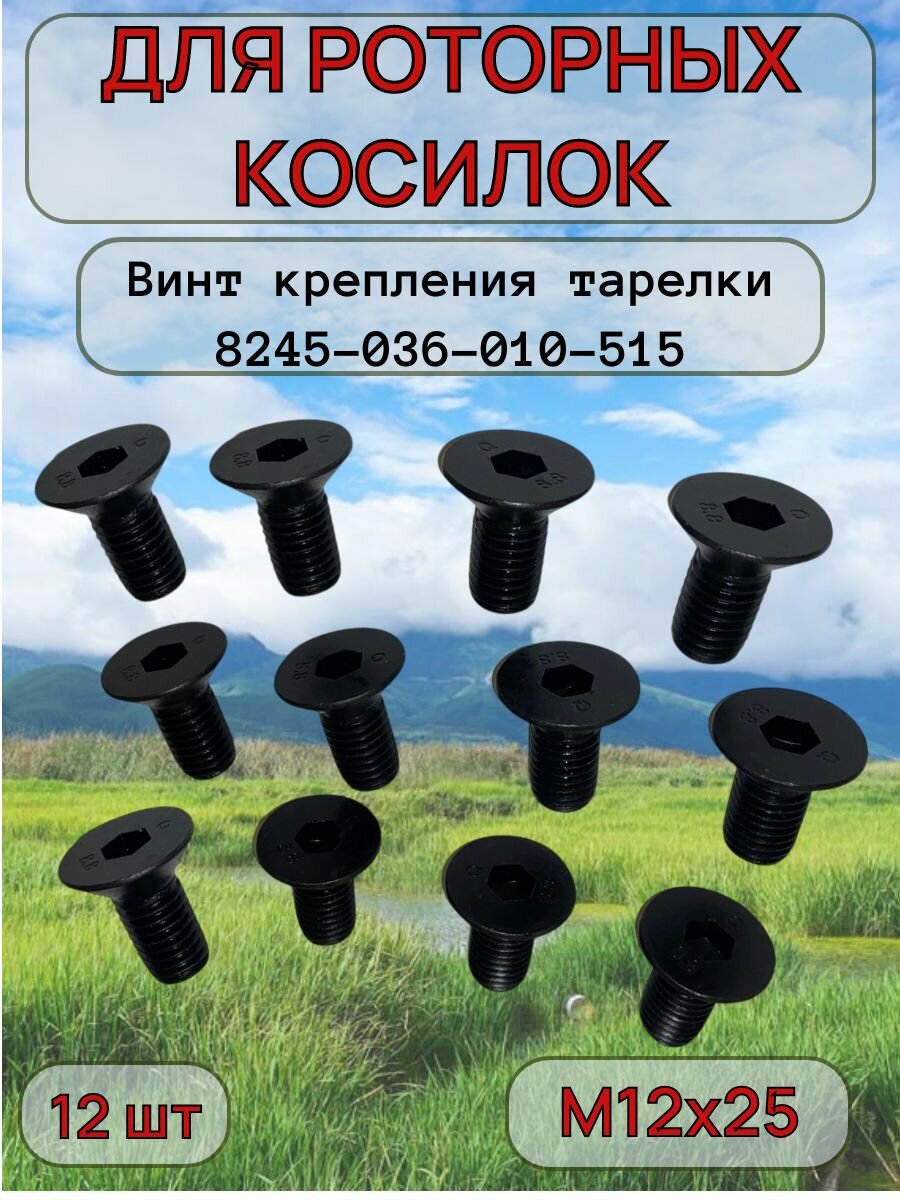 Винт М12х25 8245-036-010-515 (под шестигранник, крепления тарелки роторной косилки) (комплект 12шт)