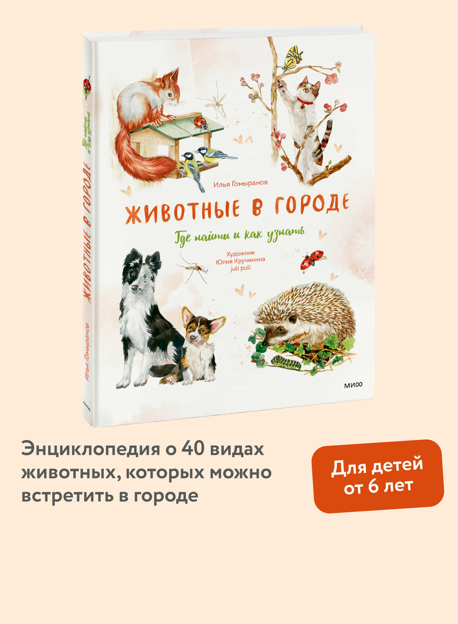 Илья Гомыранов. Животные в городе. Где найти и как узнать