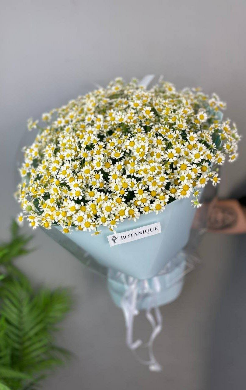 Букет ромашек полевых 25 шт BOTANIQUE FLOWER в дизайнерской упаковке, шикарный букет цветов, премиум букет большой