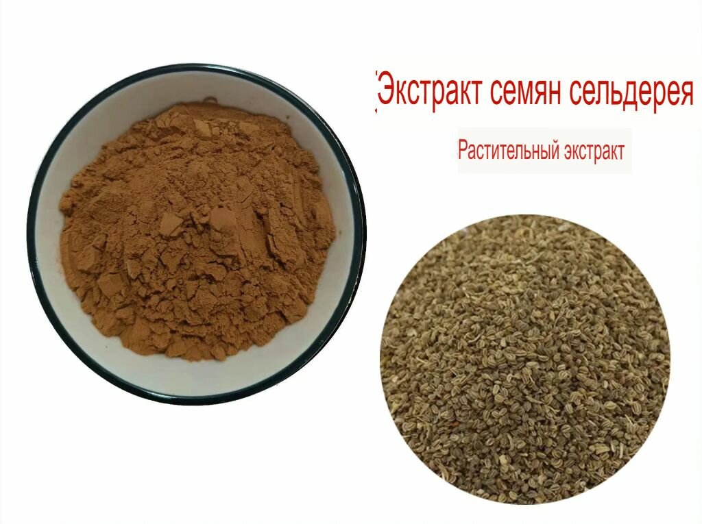 Экстракт семян сельдерея 10:1, Celery Seed Extract 500 г