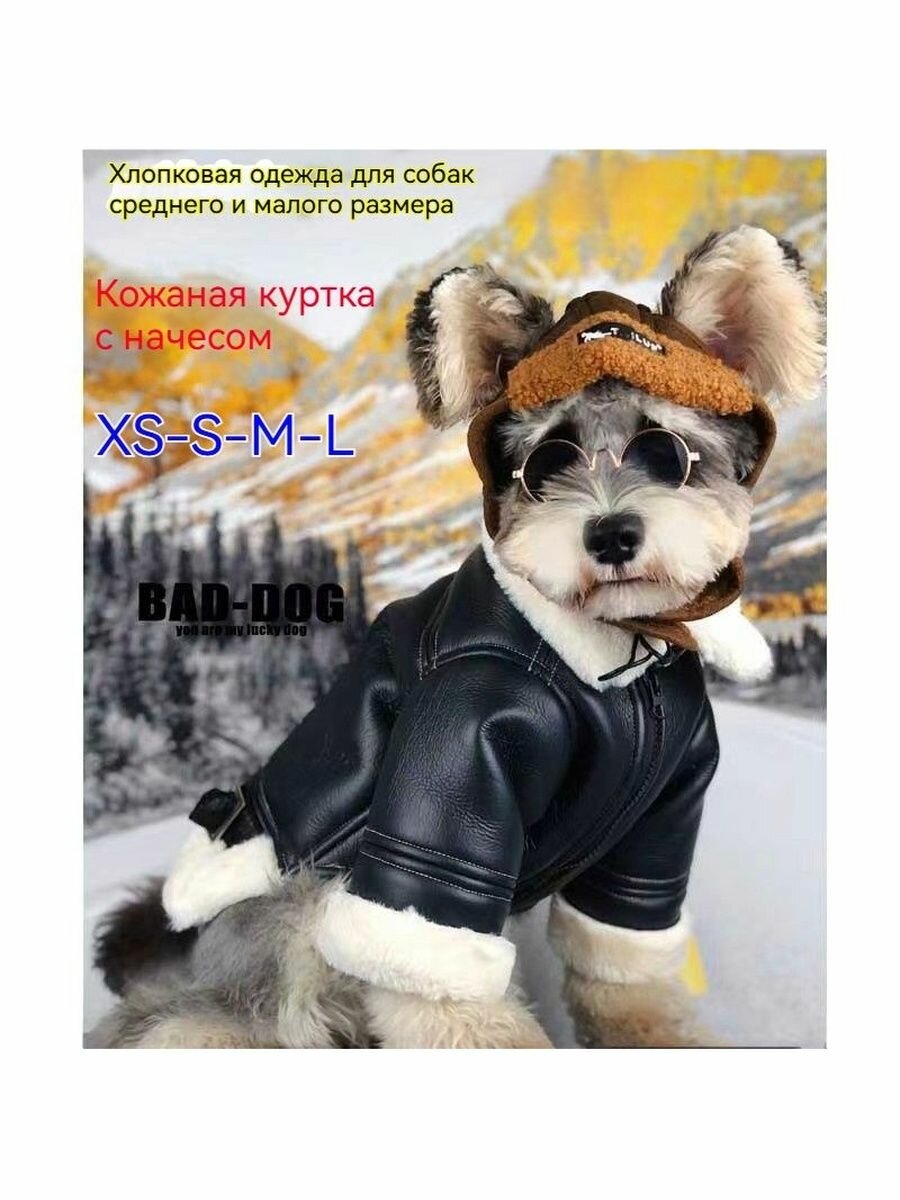 Стильная кожаная куртка для собак Байкер. Утепленная, на флисе. Для мелких и средних пород